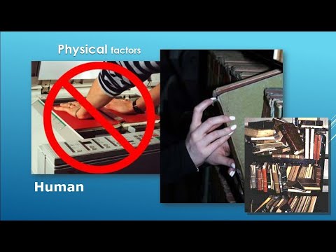 How to Preserve and Handle Your Books Like a Pro | Conservable